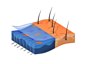 Institute for Functional Intelligent Materials (I-FIM)