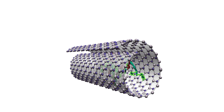 Institute for Functional Intelligent Materials (I-FIM)