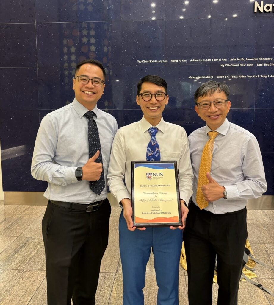 Celebrating Excellence: The Institute for Functional Intelligent ...